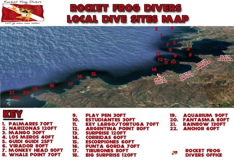 Local Diving in Costa Rica | Dive Map and Descriptions | Rocket Frog Divers