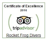 Scuba Diving in Costa Rica | Rocket Frog Divers Scuba Dive Bat Islands