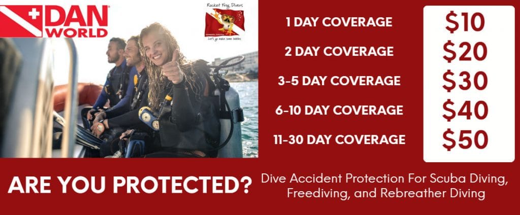 Prices For Diving In Costa Rica | Rocket Frog Divers | Scuba Diving ...