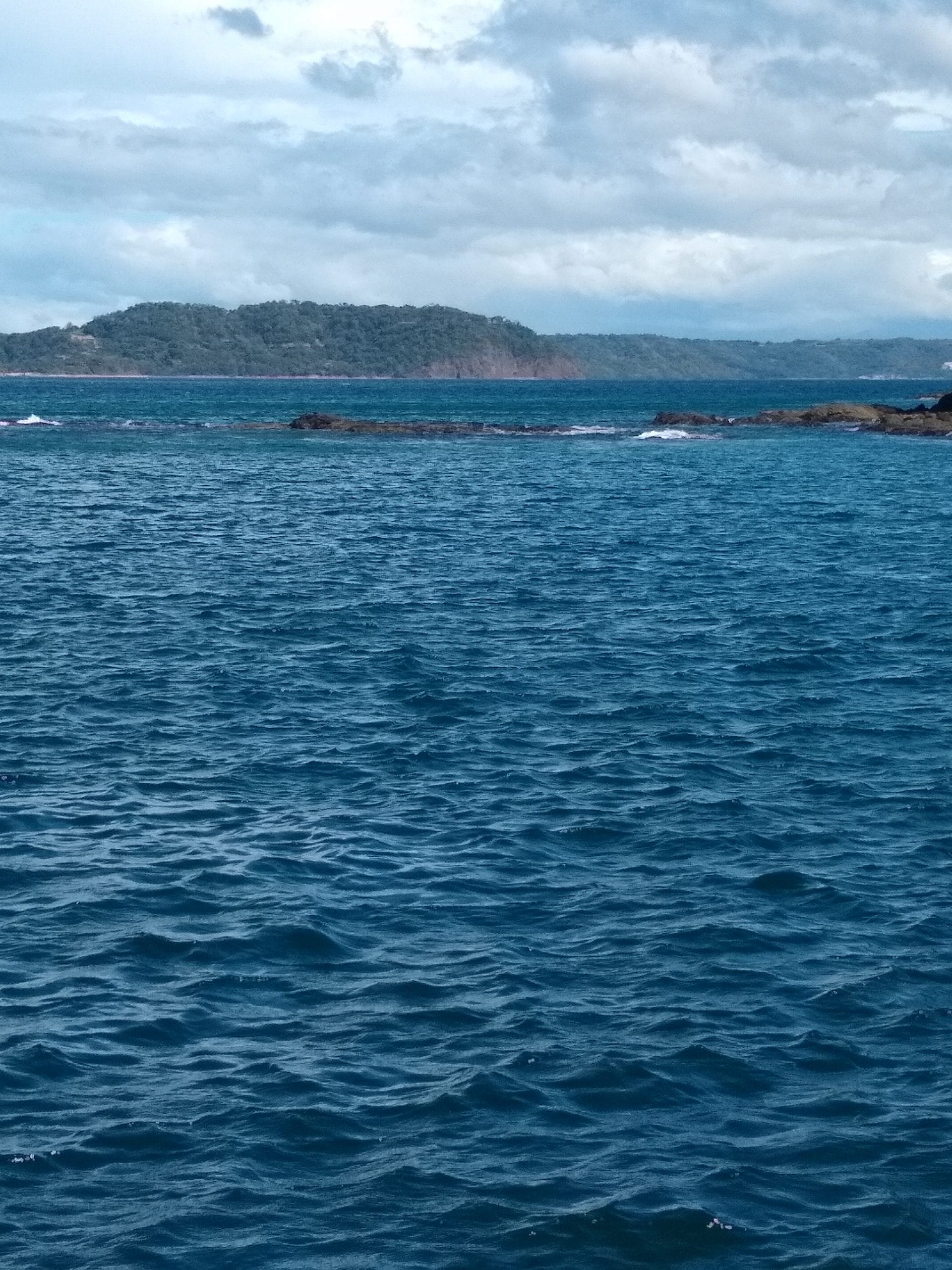 01/30/2020 Whale Point With Guide Scott