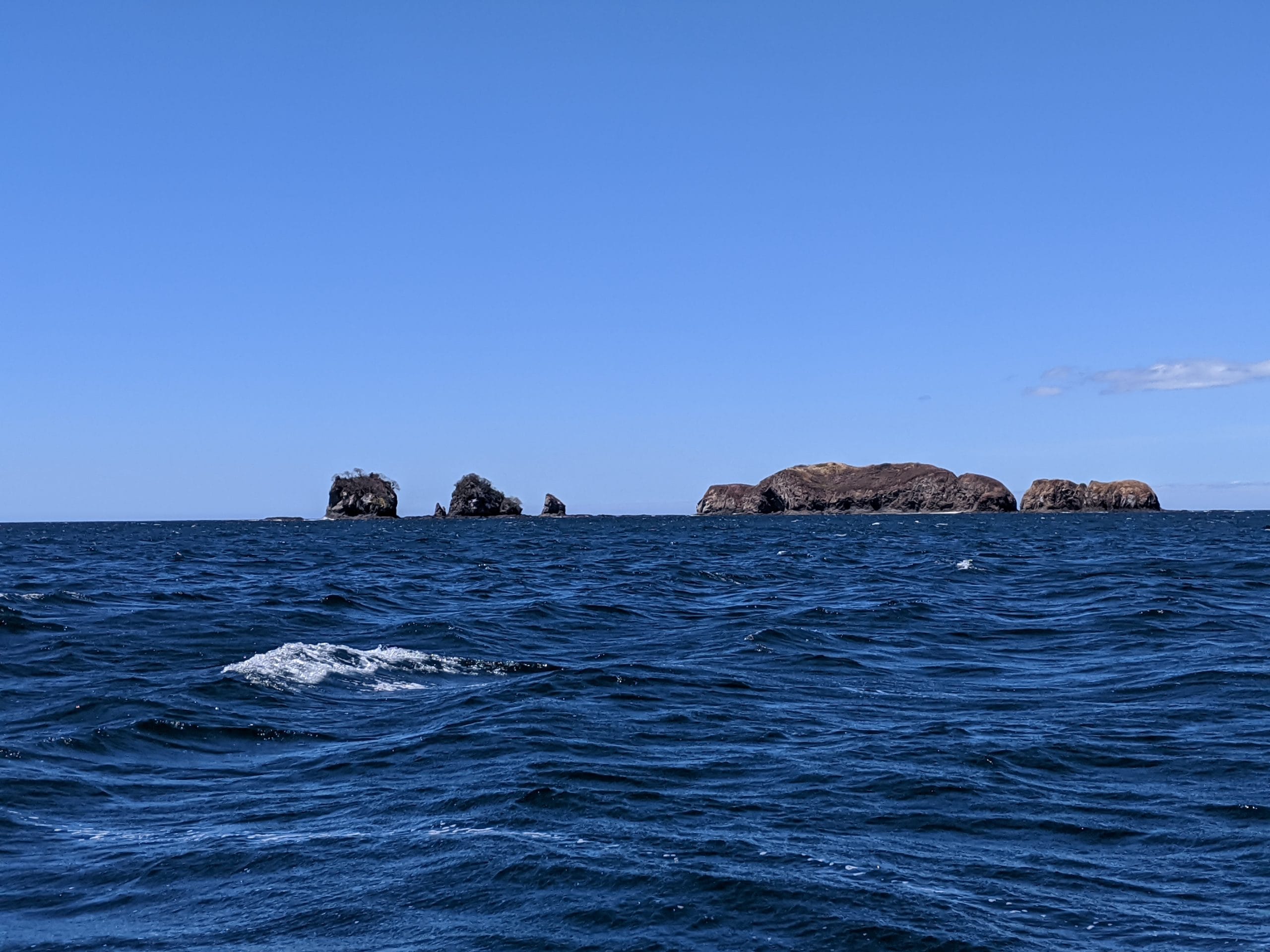 03/01/2020 Brumel & zapatos With Guide Torin