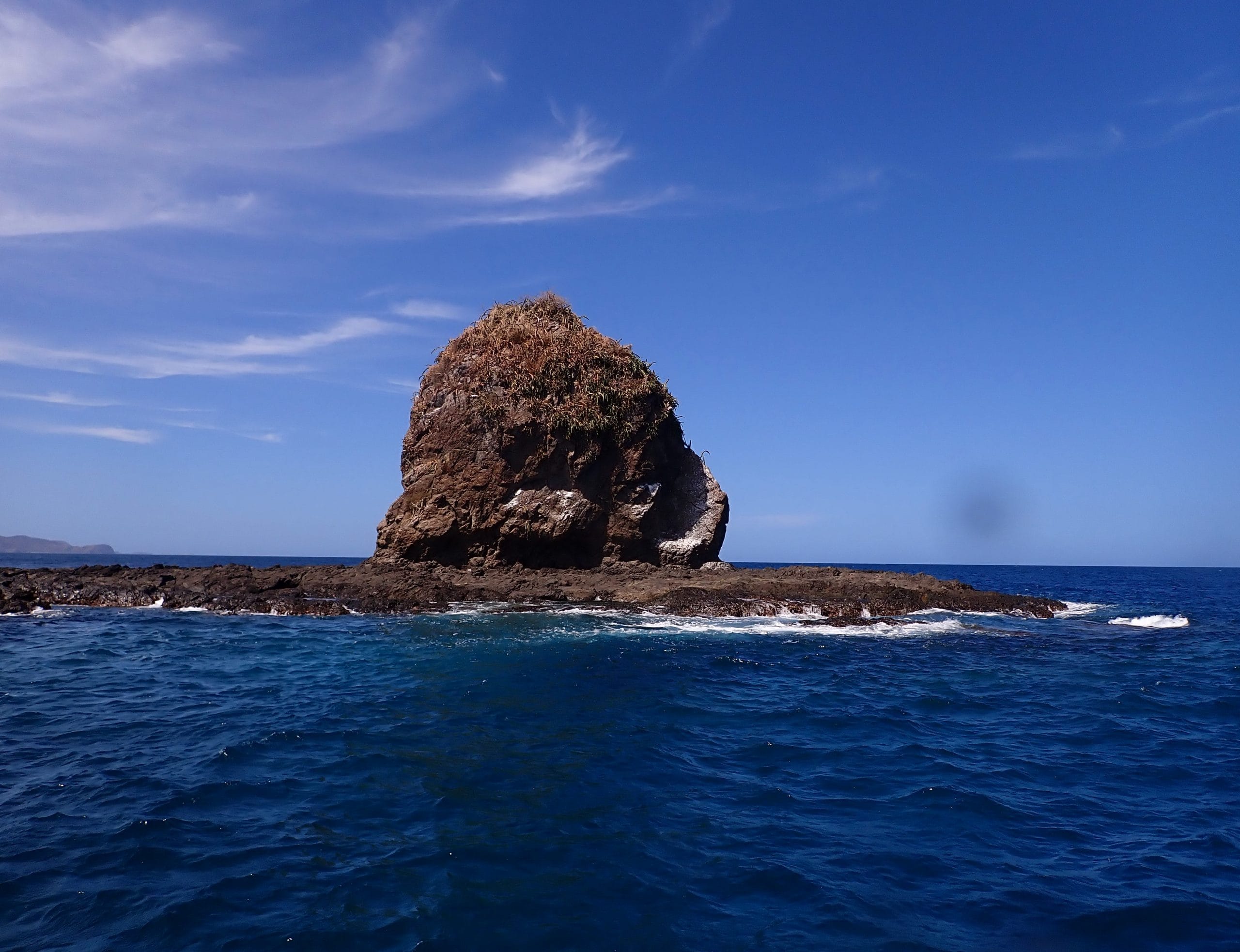 06/03/2020 Monkey head With Guide Marine